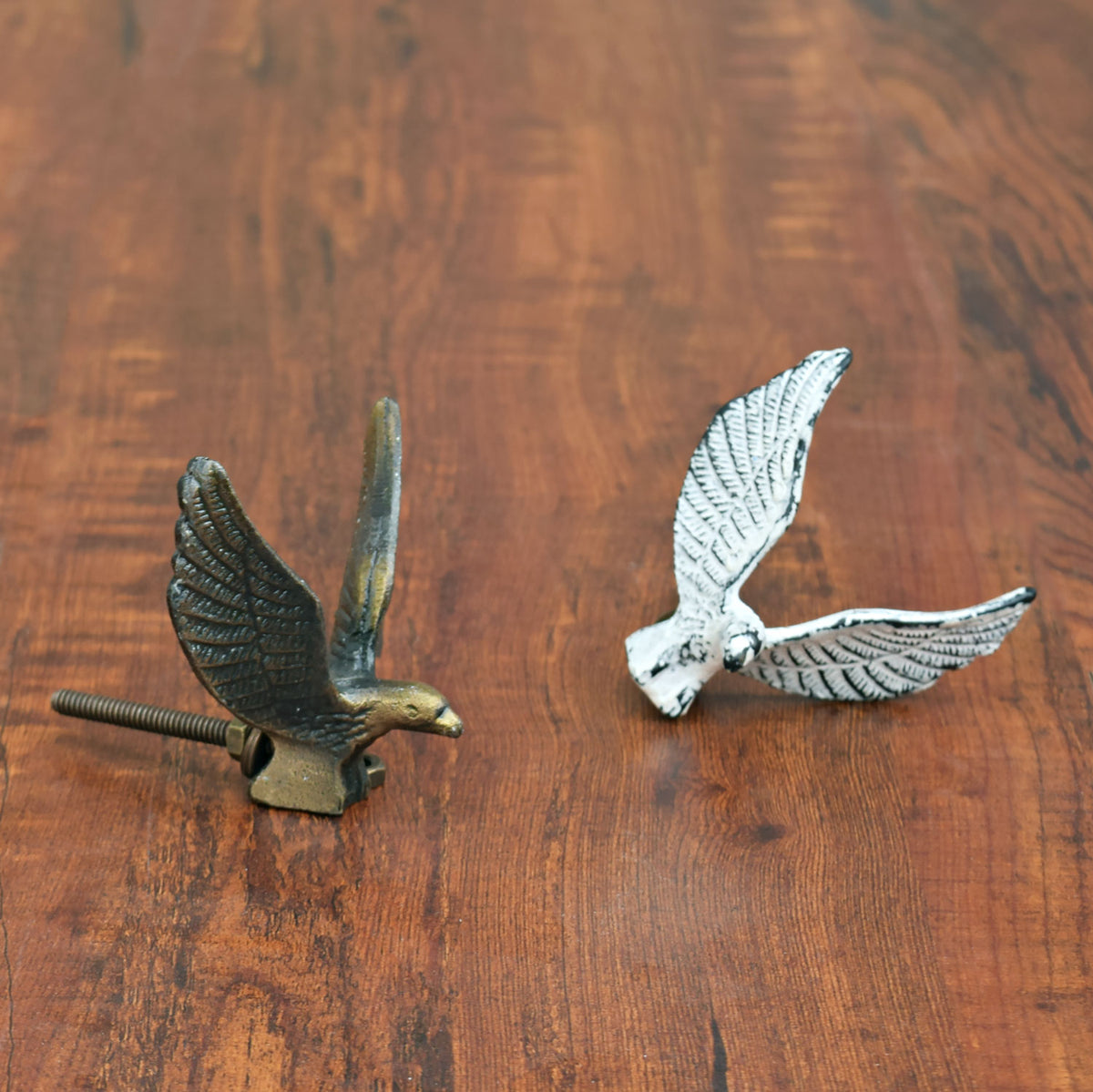 Aquila Eagle Shaped Metal Cabinet Knob – Brook And Birch